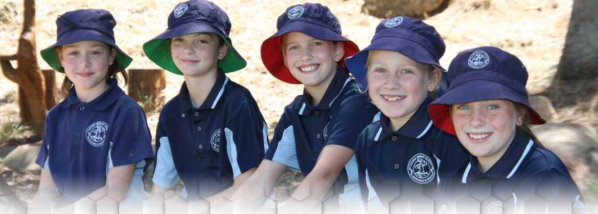EXCURSIONS - Coogee Primary School