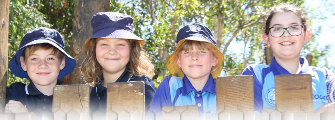GALLERY - Coogee Primary School