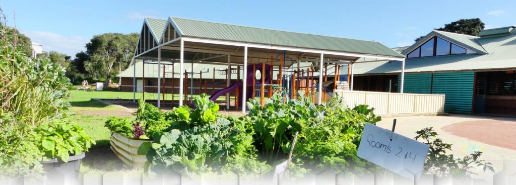 SCHOOL REVIEW - Coogee Primary School