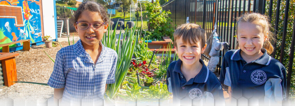 GALLERY - Coogee Primary School